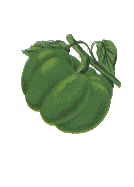 Emerald Giant Bell Pepper Seeds | Richloam General Store